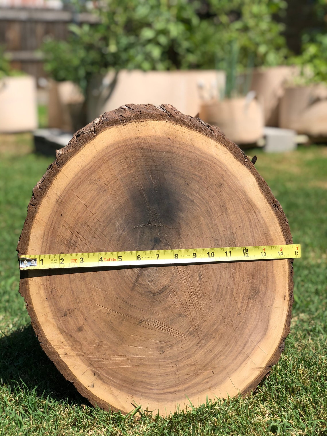 Black Walnut Log Slice Wood Demand